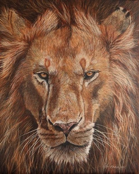 Fiona Champion – Gigglewick Gallery